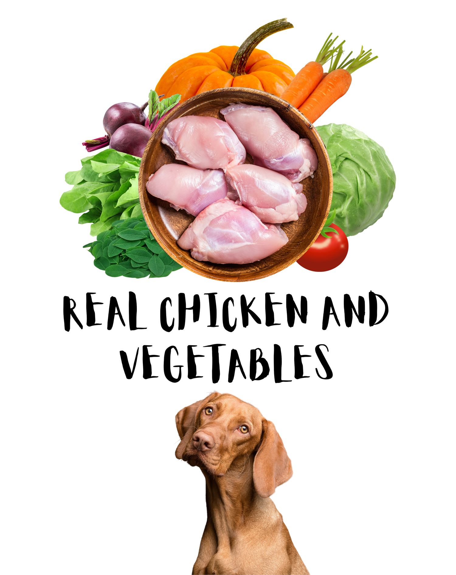 DoFo - Tailored Food for Every Furry Friend