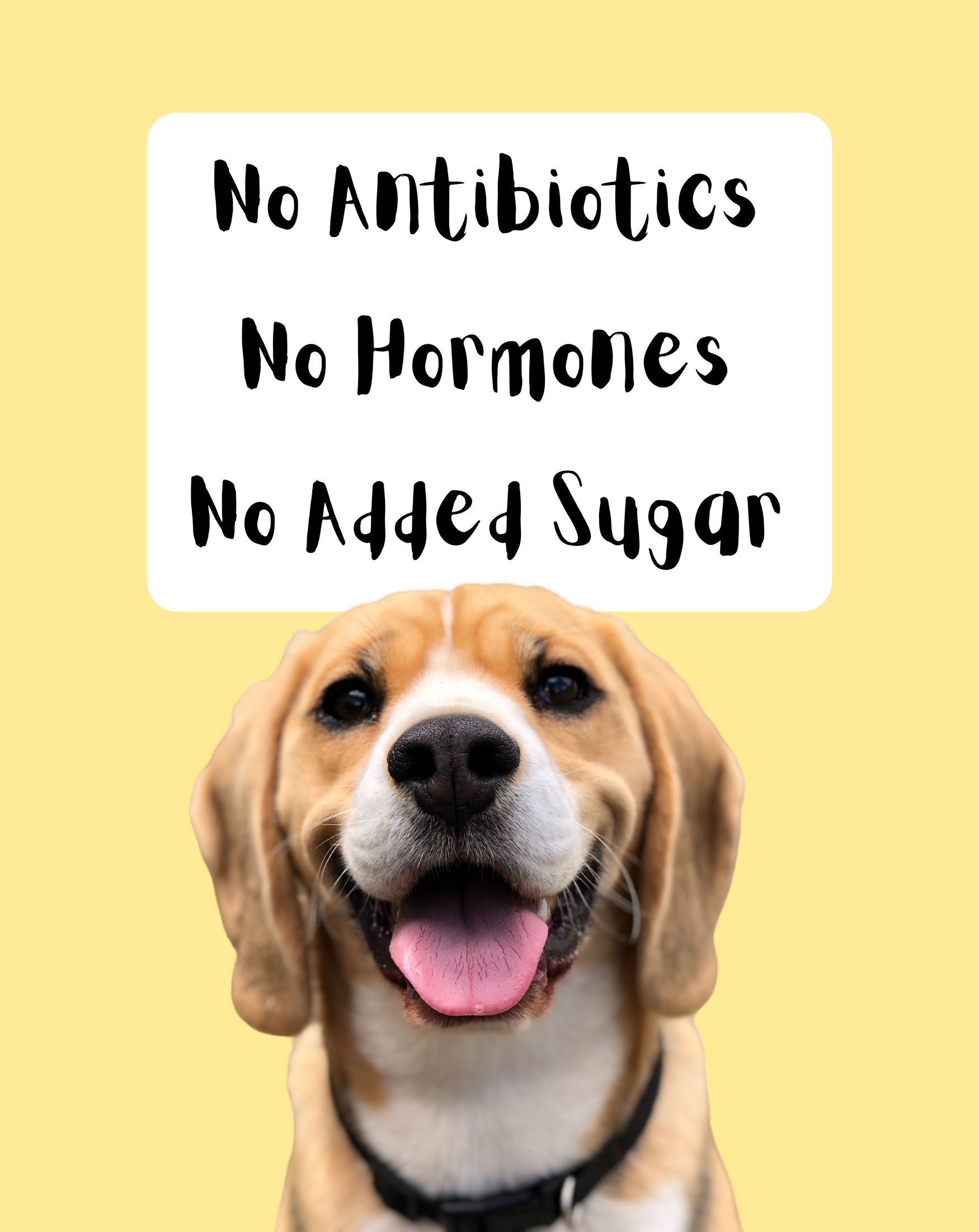 DoFo - Tailored Food for Every Furry Friend