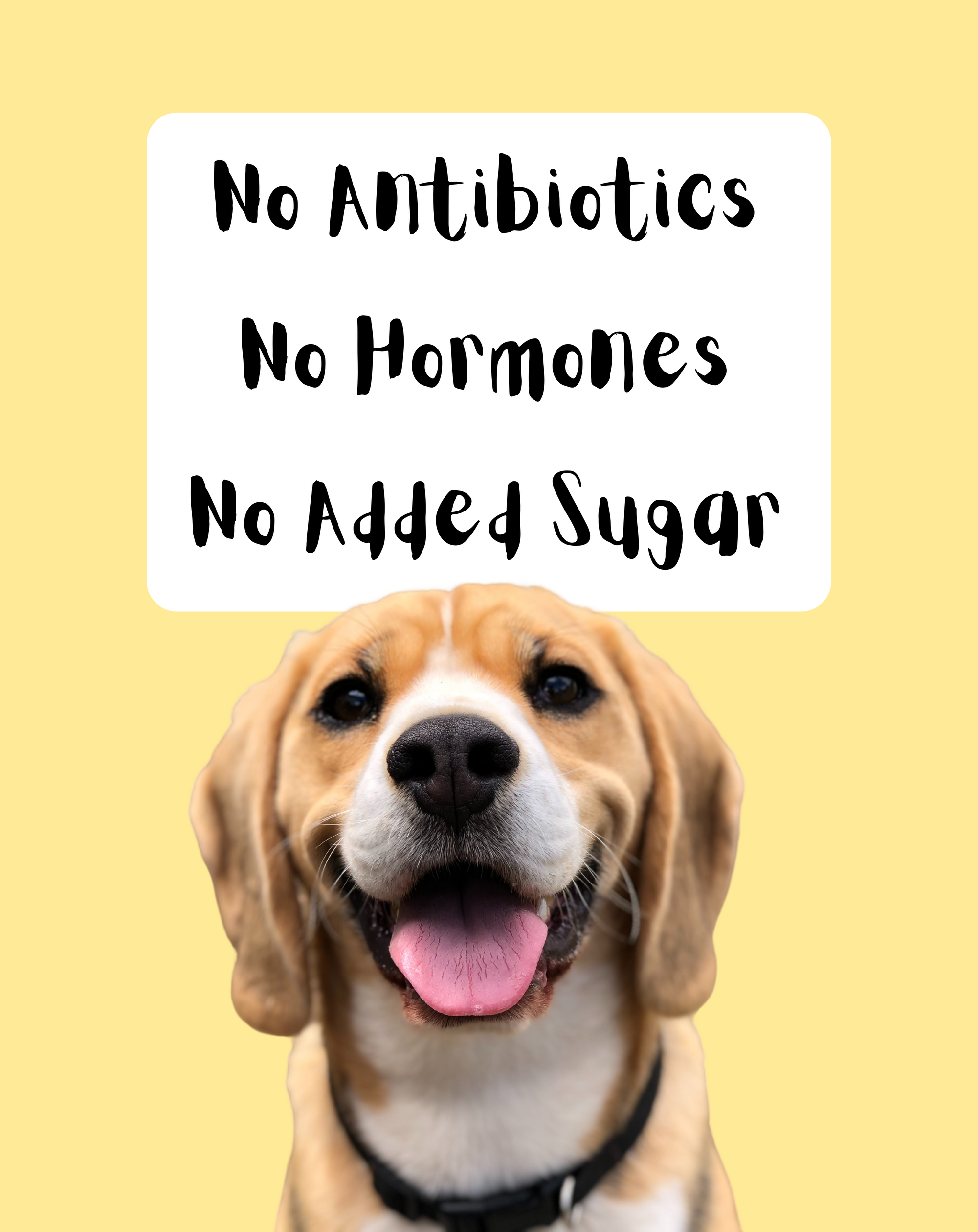 DoFo - Tailored Food for Every Furry Friend