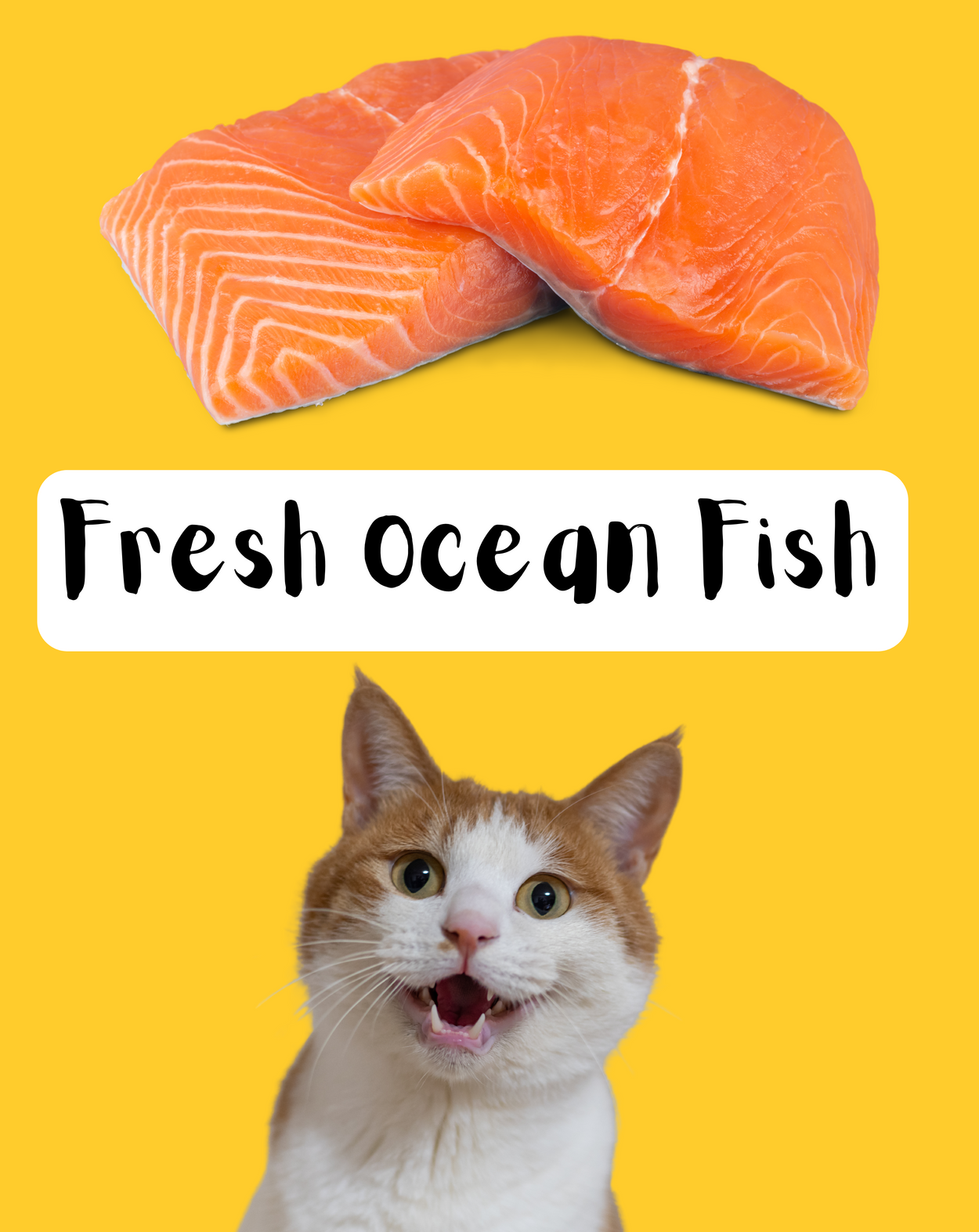 DoFo - Tailored Food for Every Furry Friend